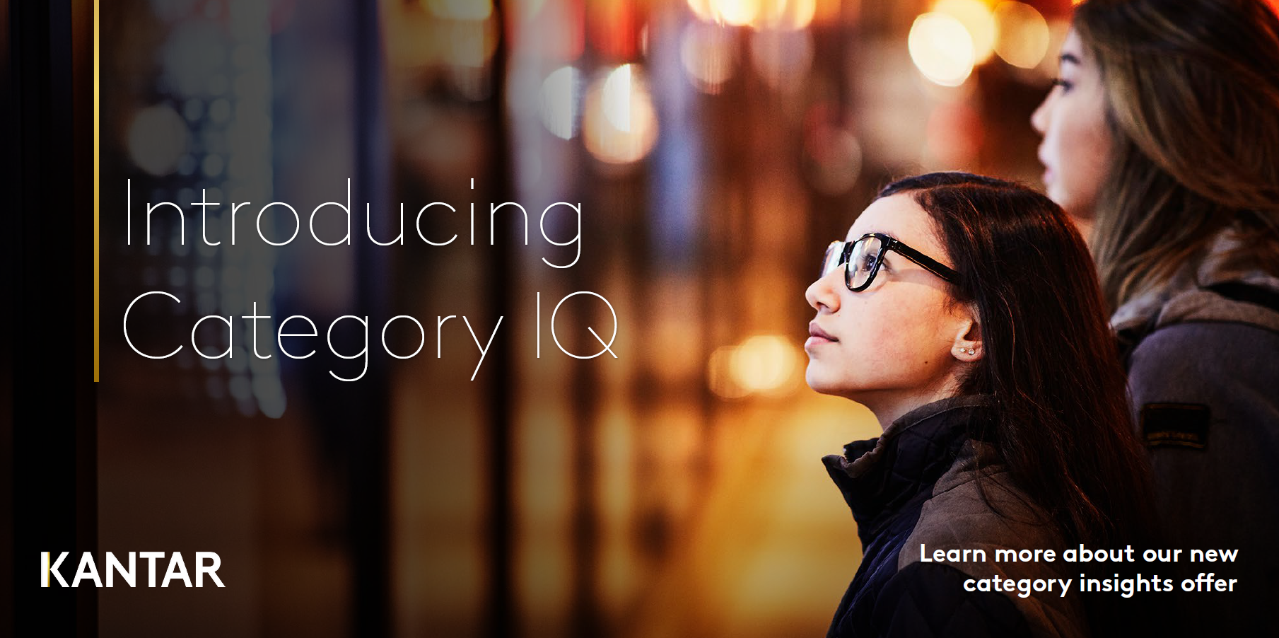 North America Category Insights